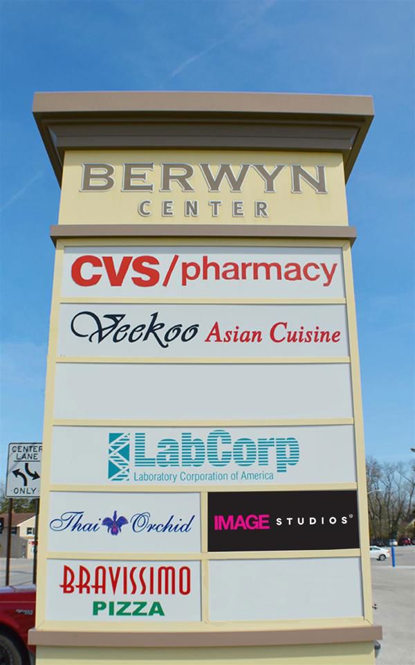 Berwyn Shopping Center, 558 Lancaster Ave, Berwyn, PA, 19312